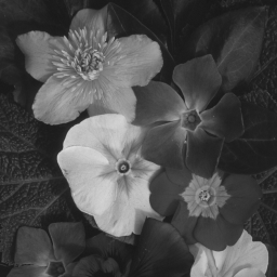 Create a Custom Color Map — v5.3.0